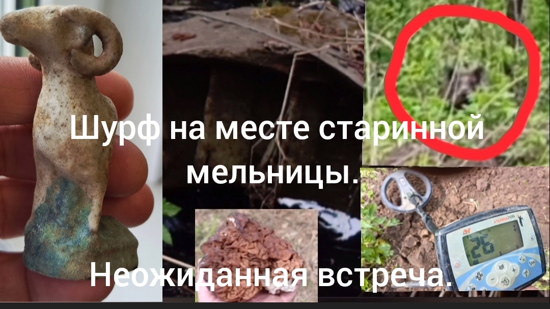 Шурф поляны на месте старинной мельницы.