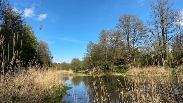 Анграпа - таймлапс