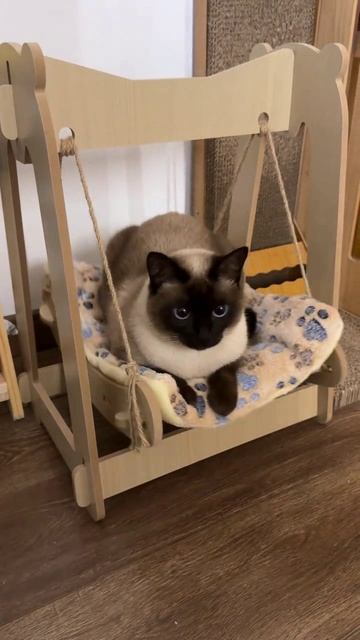 милые качели для кошечек, сиамскмая Маргоша показывает тестдрайв