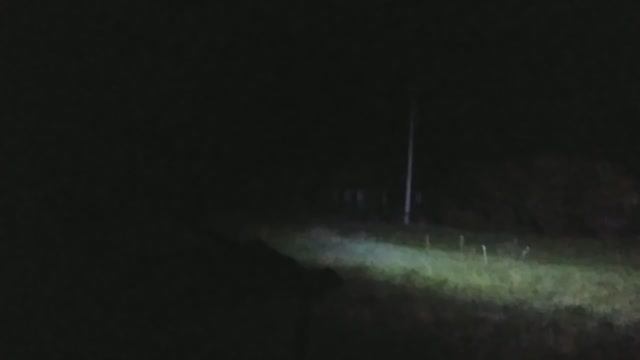 Соловьи соловьи...