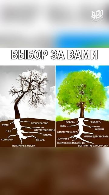 Выбор: Открыть или не открывать ларец Пандоры. Смотрим, слушаем, делаем вывод. #пандора