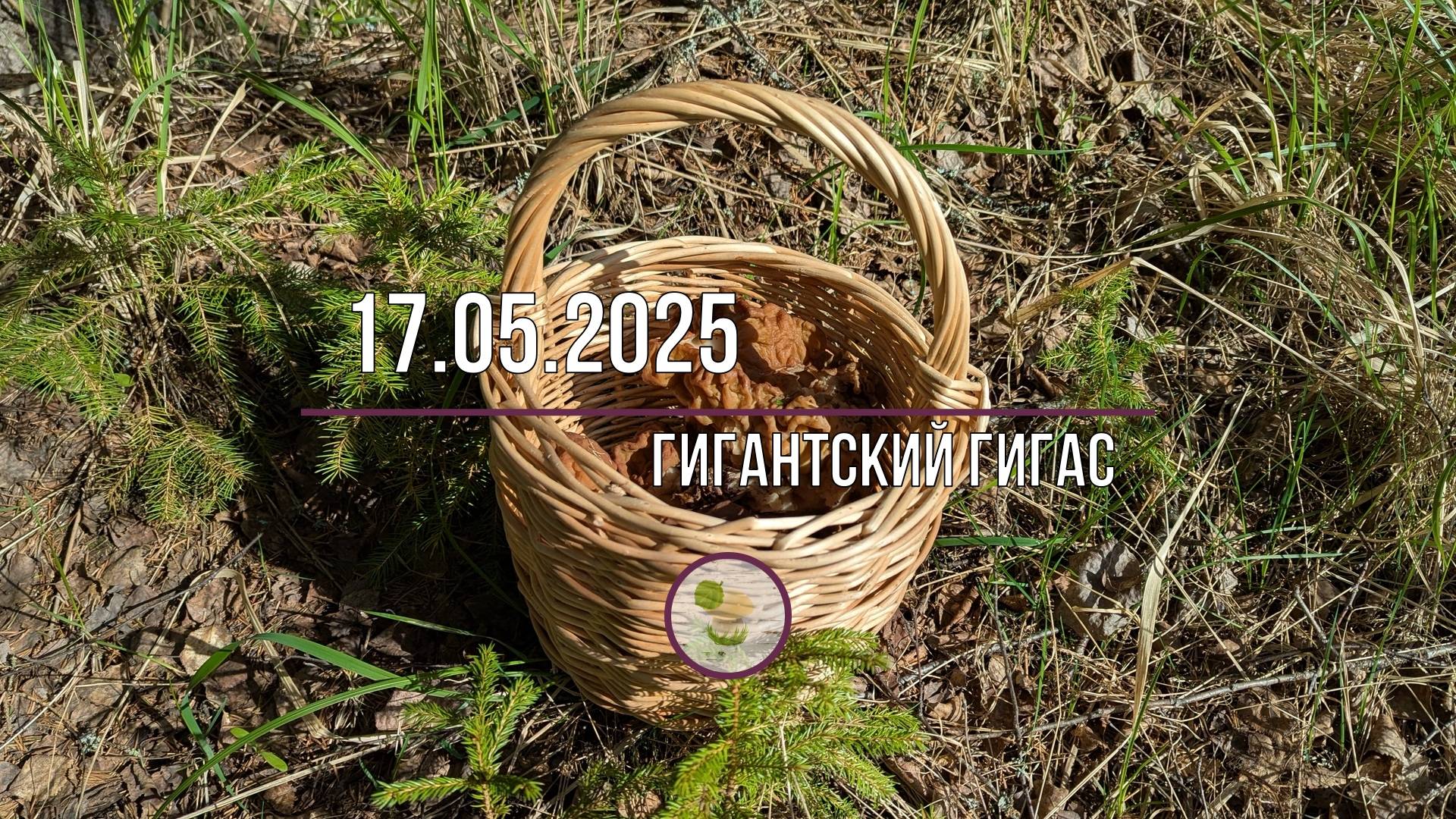 Нашла свой самый большой строчок в этом году.