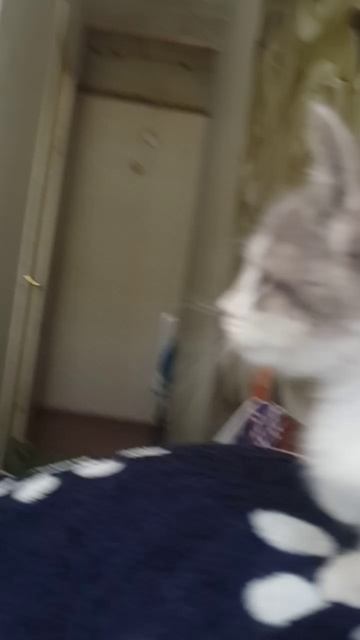 Новый член нашей семьи 😍