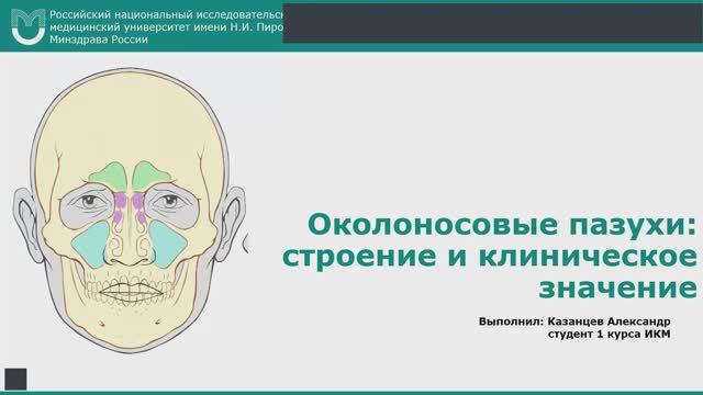 Околоносовые пазухи - строение и клиническое значение