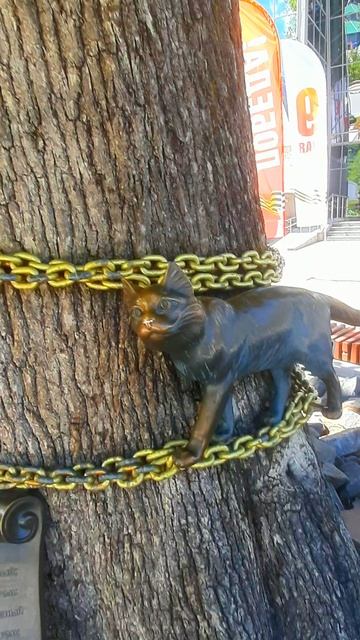 Пушкинский дуб."Галактика".Красная Поляна.16.05.25.