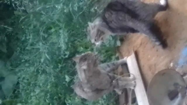 Опять разборки...😁