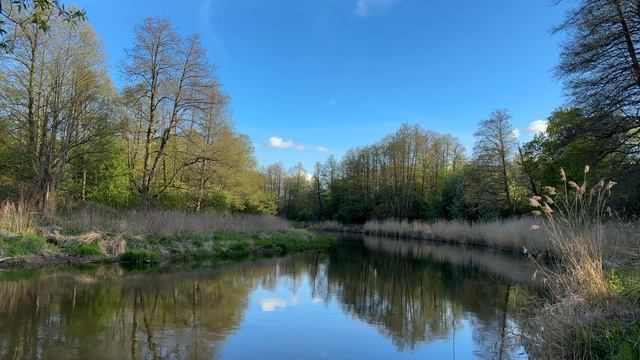 Анграпа - таймлапс