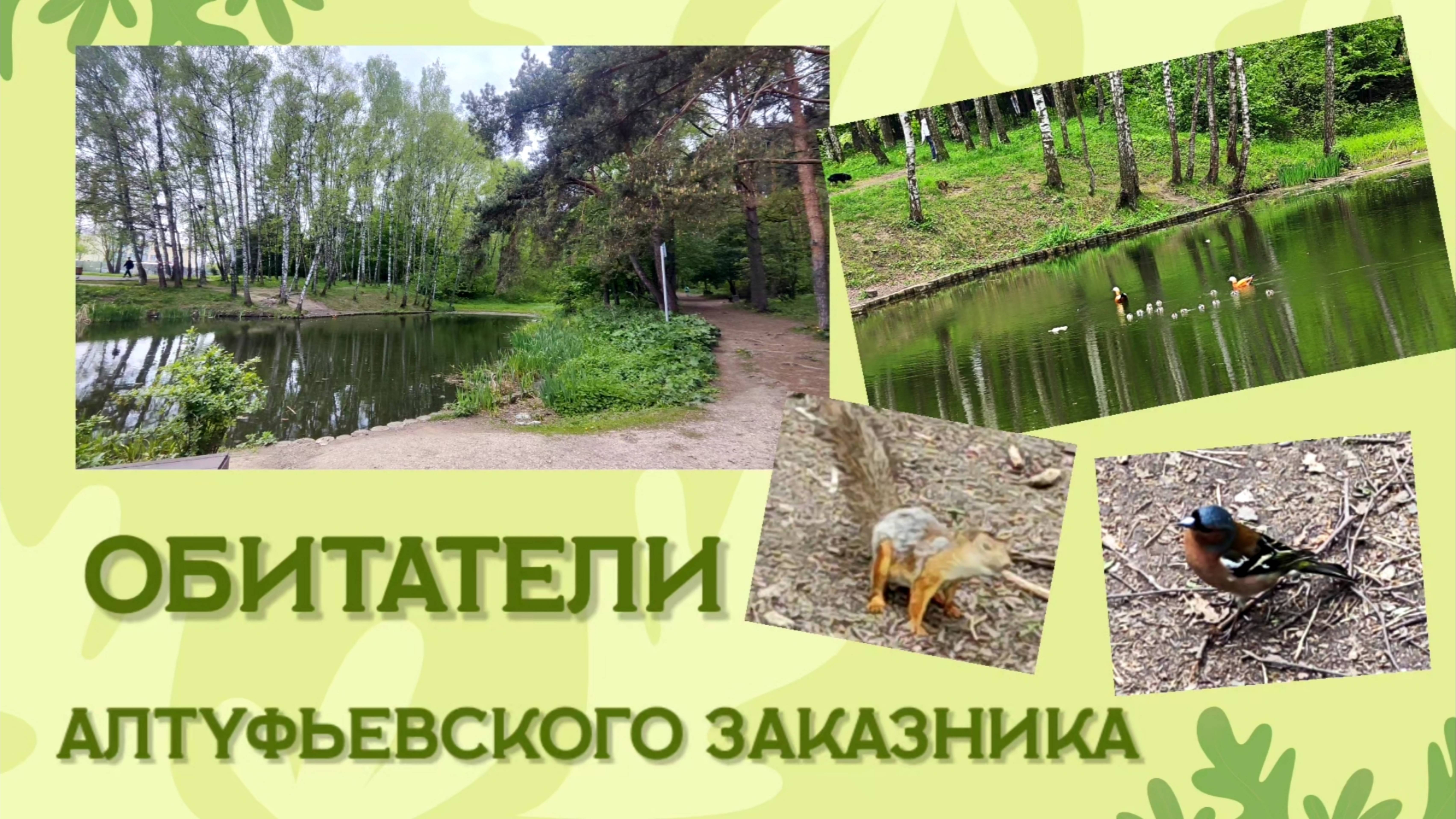 Обитатели Алтуфьевского заказника 18.05.2025 года.