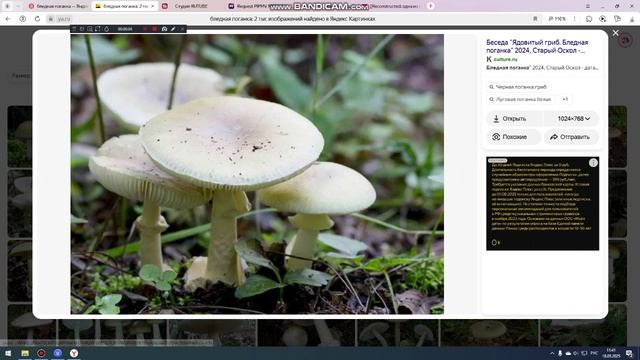 Вот так, хоть Я***** музыка 0+, а не 18+!