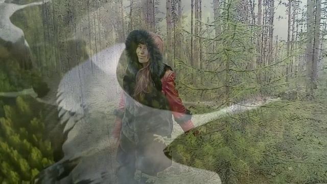 Где-то высоко