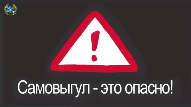 Самовыгул - это опасно ⛔️