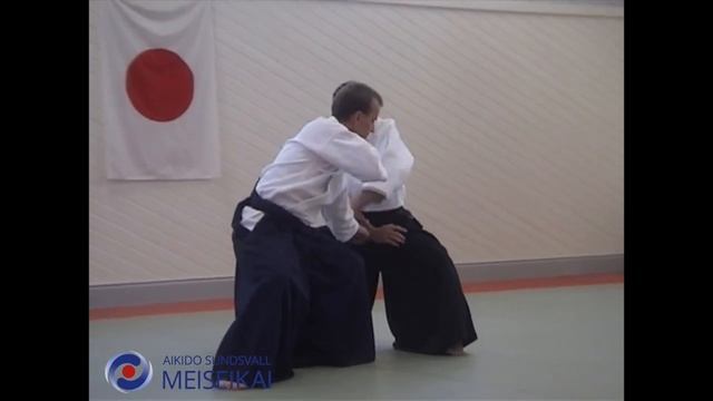 20 Aikido Gyaku Hanmi Zempo Gedan Ikkyo Shishiya Sensei Sandviken 2003