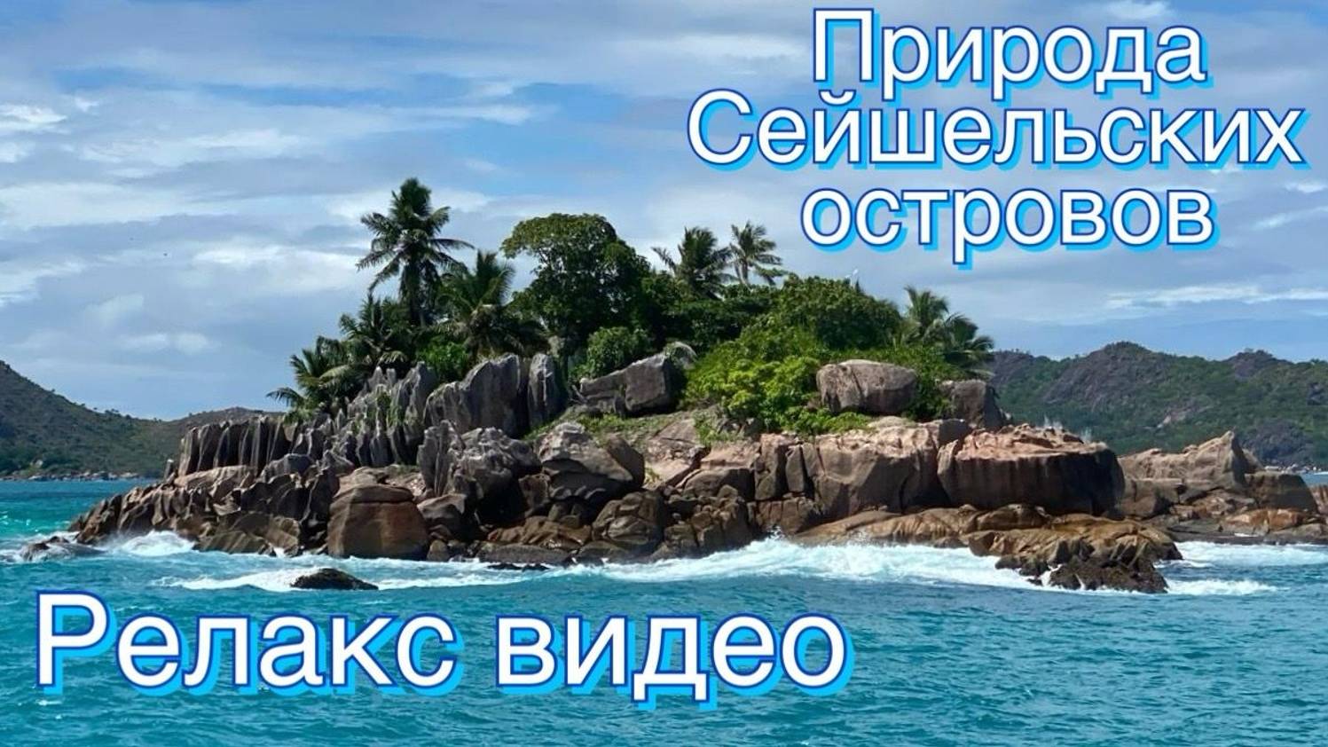 Сейшельские острова. Природа. Животные. Релакс видео.