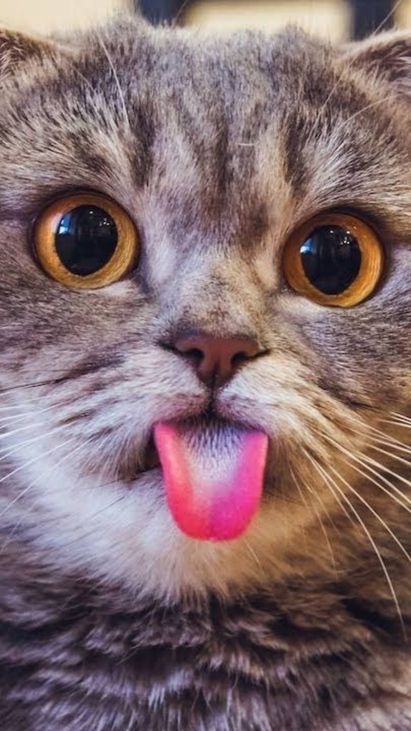 ВЫ ЩЕ НЕ ВИДЕЛИ?