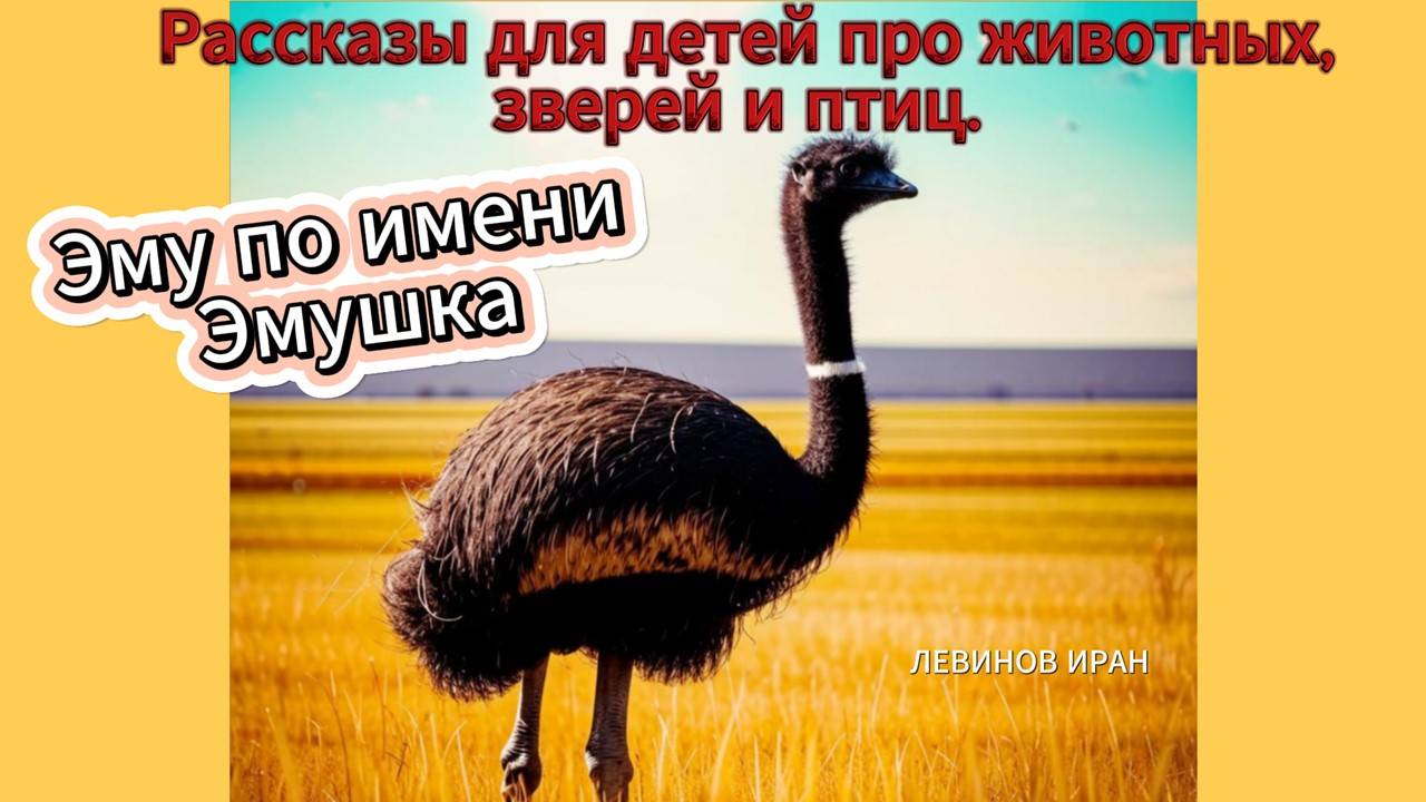 Сказка про храброго Эму. Эму по имени Эмушка. Красиво, понятно. Детский писатель Левинов Иран.