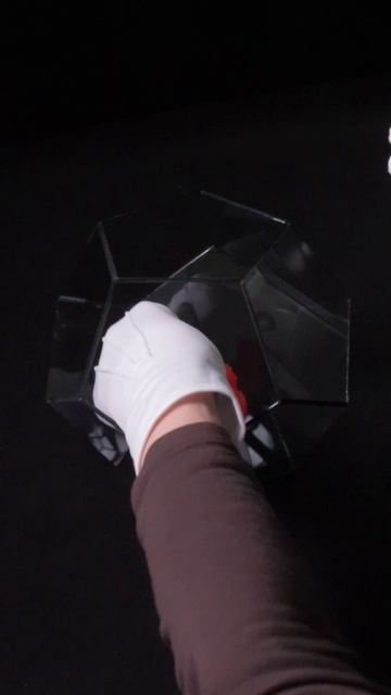 Флорариум в объективе: Пример предметной съемки в профессиональной видеостудии