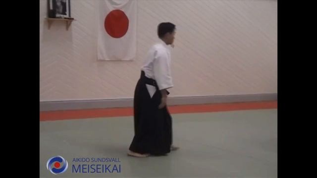 10 Aikido Gyaku Hanmi Udekimenage Shishiya Sensei Sandviken 2003