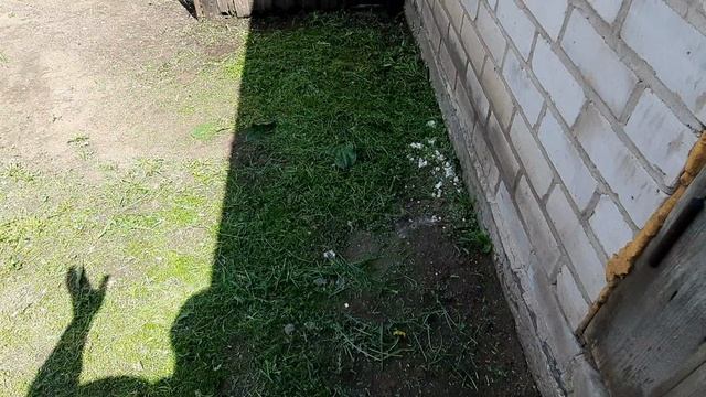 Всё в дом!🧰Не пропил,не промотал☝️Купила "помощницу" для себя,а муж ворчит😏!