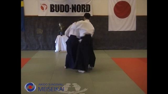 8 Aikido Suwariwaza Shomen Uchi Iriminage Shishiya Sensei, Sundsvall 2002