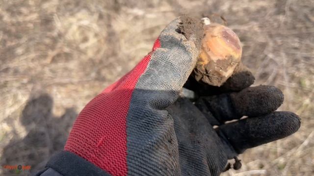 Нашел странную находку