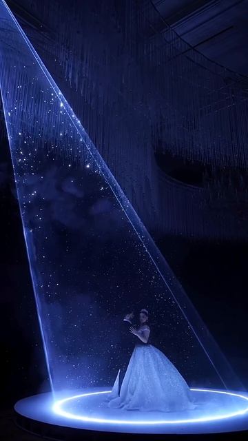 Лазерное шоу "Эффект золушки" на вашу свадьбу