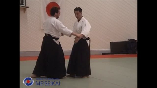 2 Aikido Gyaku Hanmi Tainotenkanho 2 Shishiya Sensei Sandviken 2003