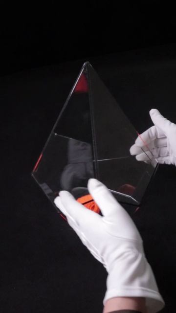 Портфолио: Профессиональная предметная видеосъемка флорариума в нашей видеостудии