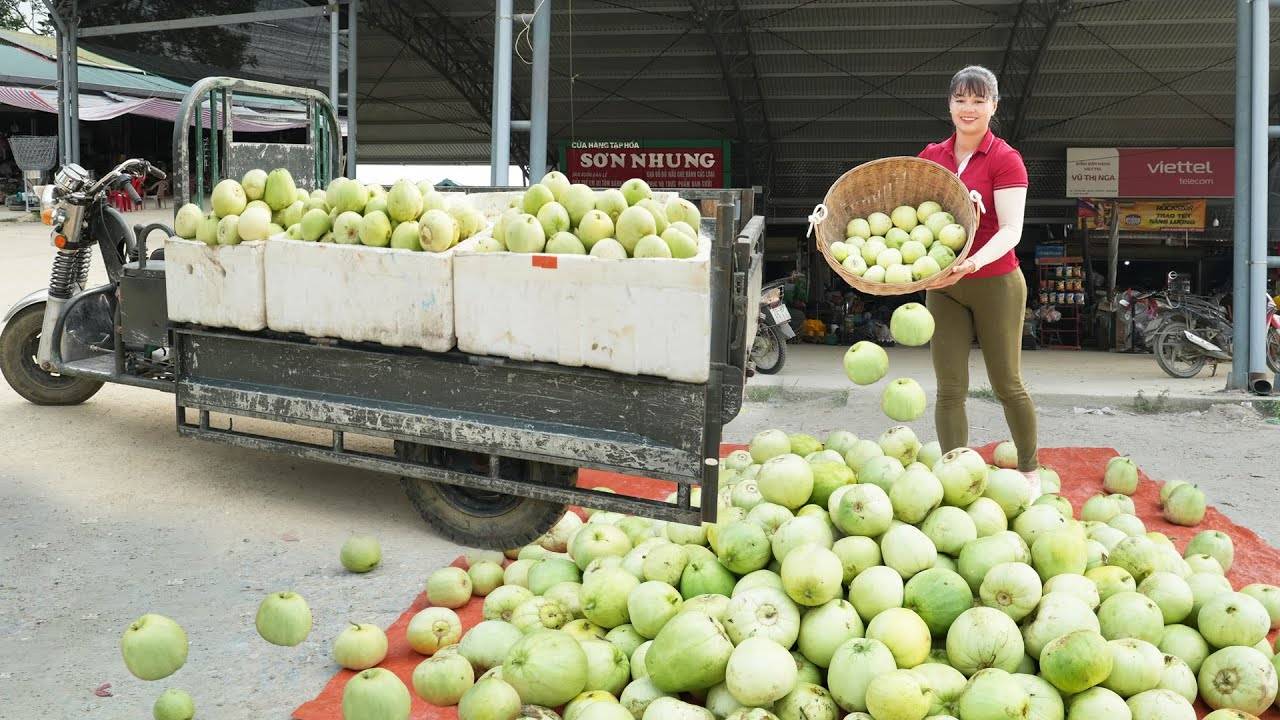 Неугомонная трудяга из Вьетнама. Сбор урожая дыни. Продажа на местном рынке.