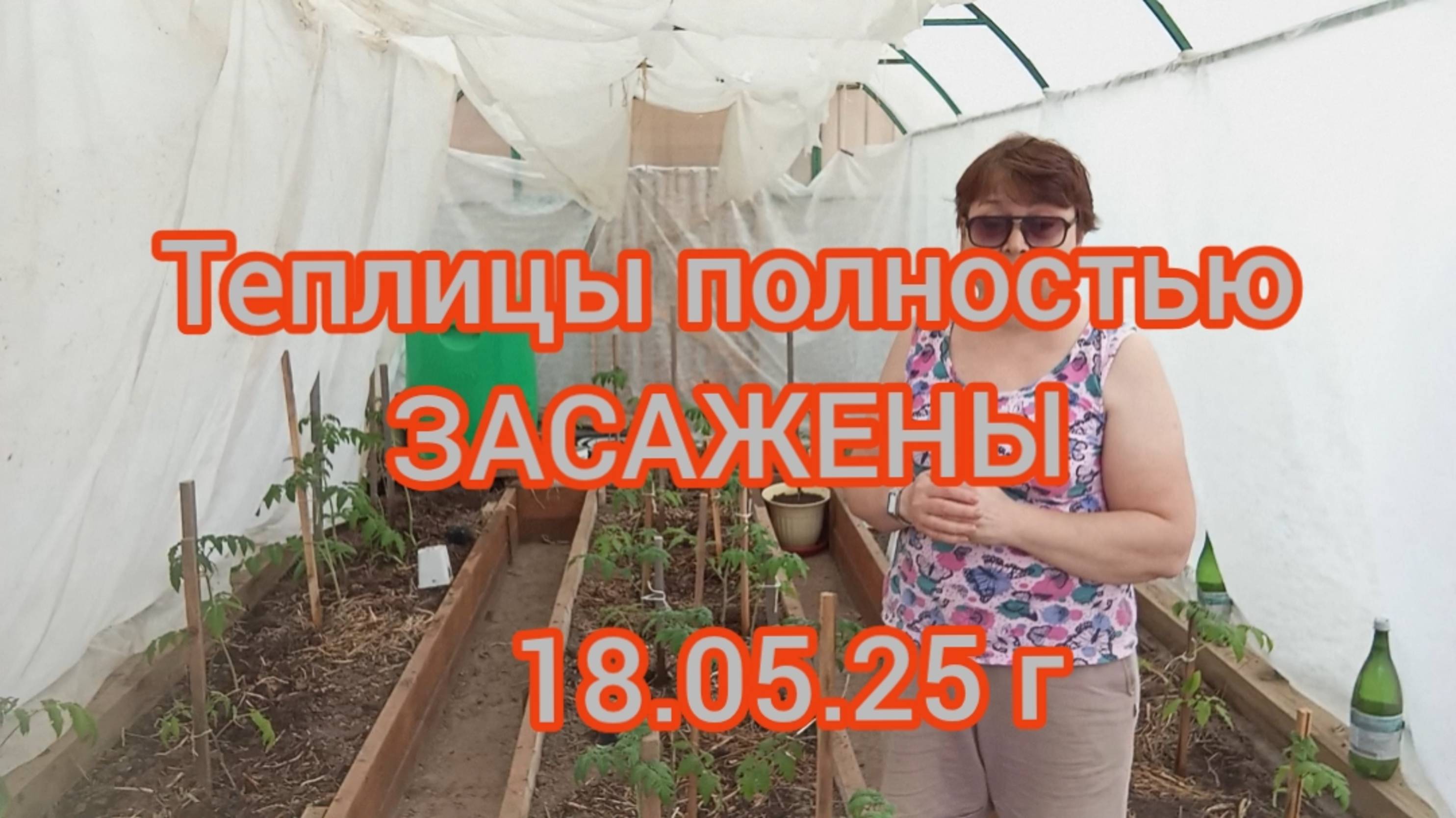 ТЕПЛИЦА/ВСЕ ТЕПЛИЧНЫЕ ОВОЩИ ВЫСАЖЕНЫ. 18.05.25 г