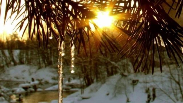 Солнечный февраль. песнопение.