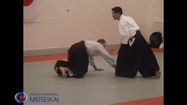 16 Aikido Jo No Tebiki Gyaku Hanmi Ikkyo Ura Shishiya Sensei Sandviken 2003