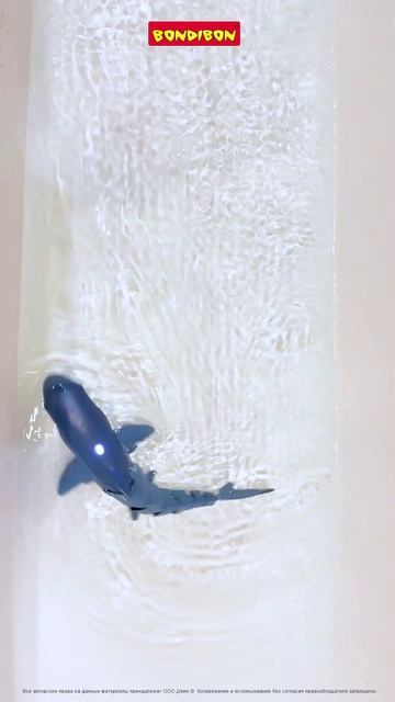 Акула на пульте управления #Shorts,#bondibon,#длядетей,#развивающая