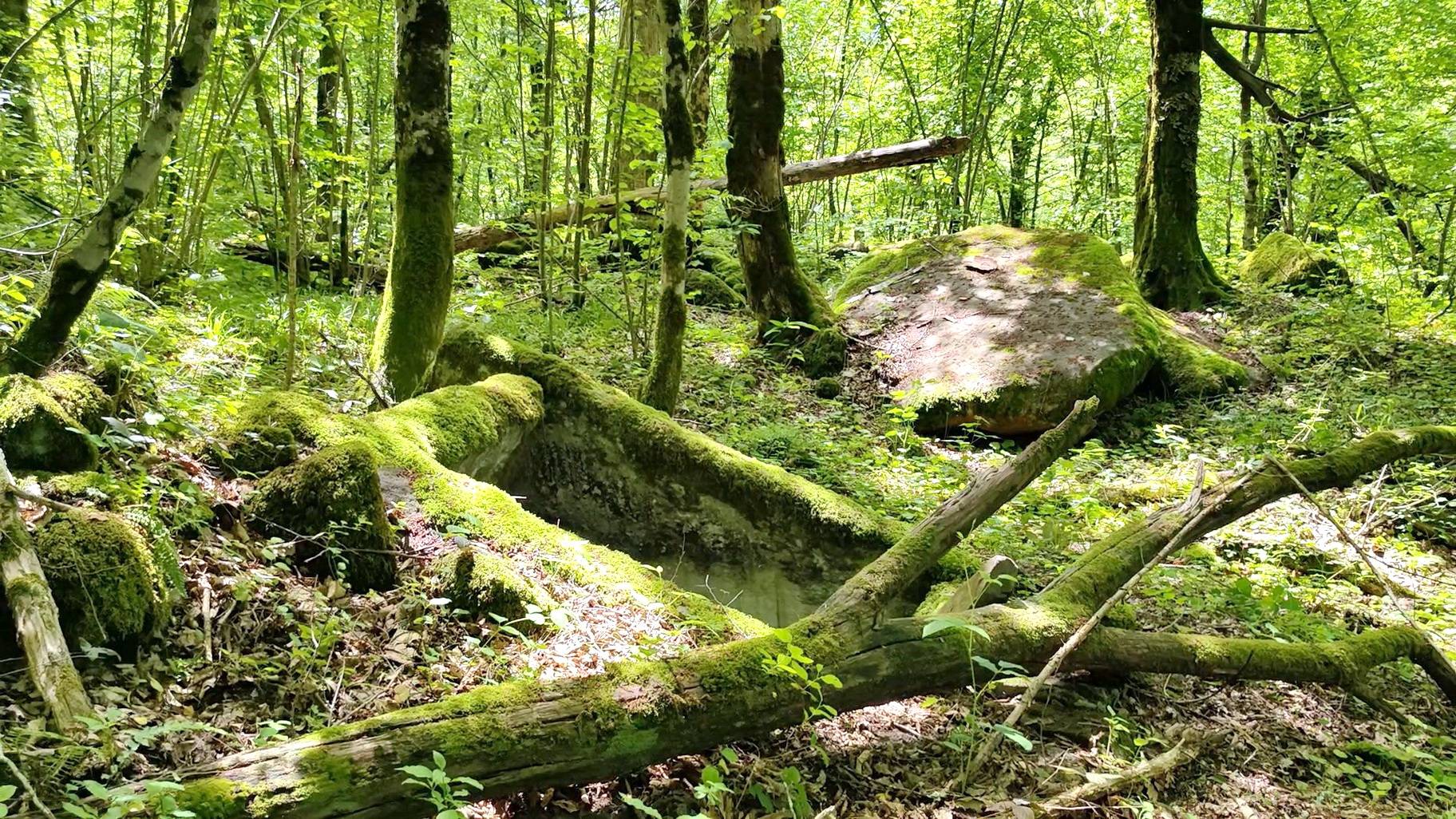 Видео 97 (часть 2) - Дольмены ручья Казачьего (Малое Псеушхо)