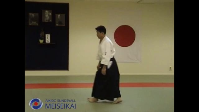 3 Aikido Gyaku Hanmi Kokyonage, Sundsvall 2001