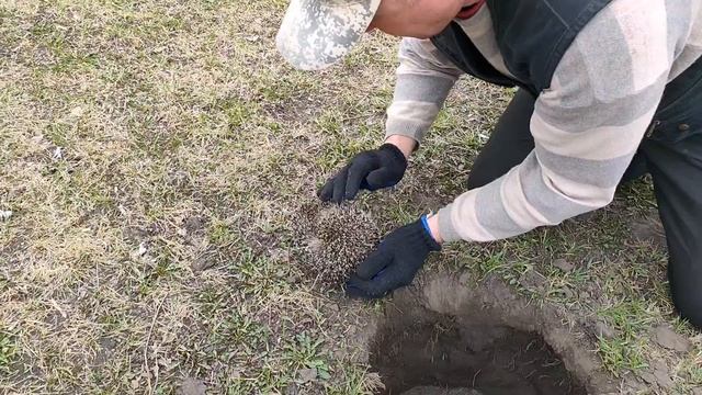 Спасаем Ёжика.