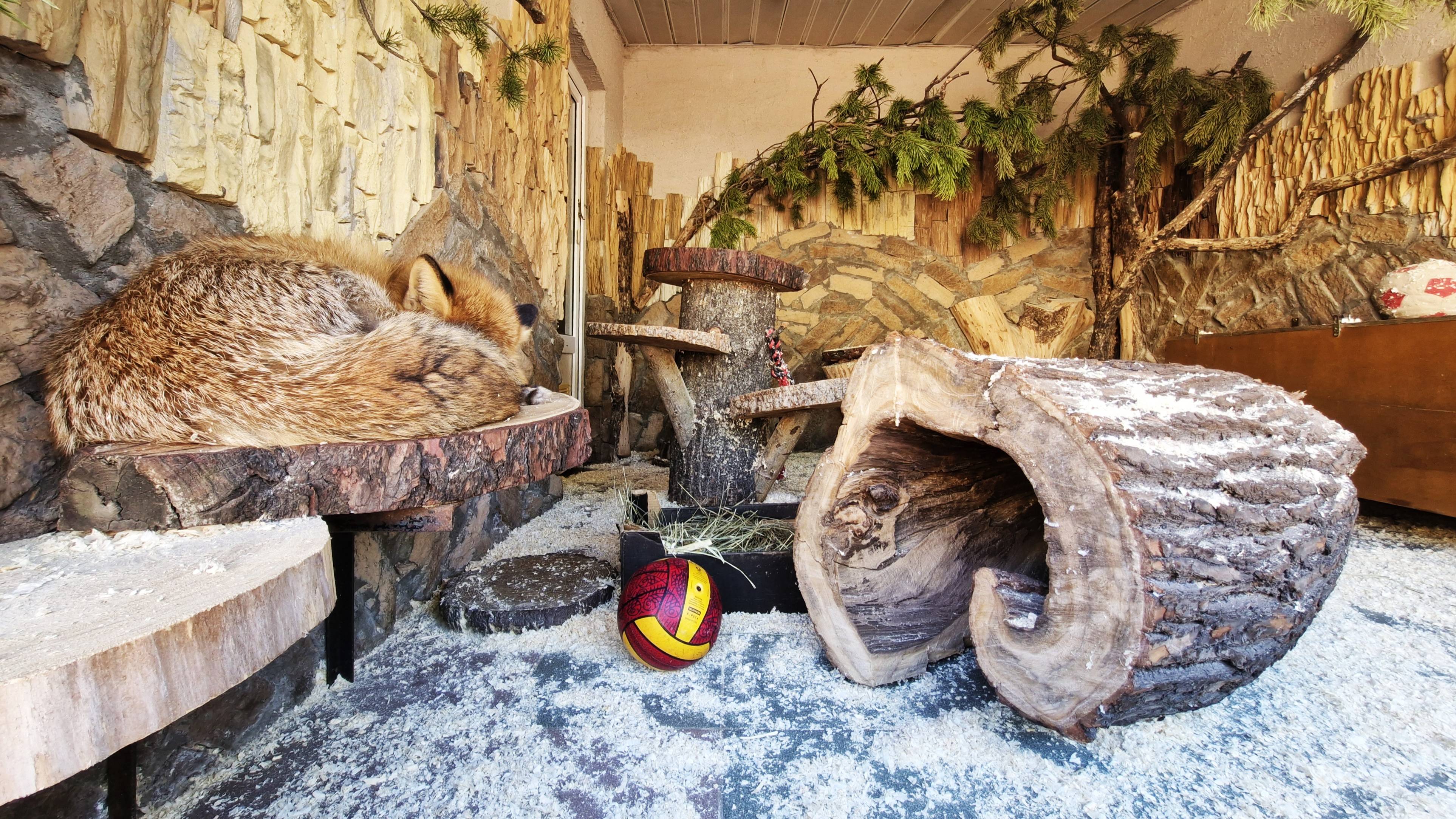 Ленинградский зоопарк