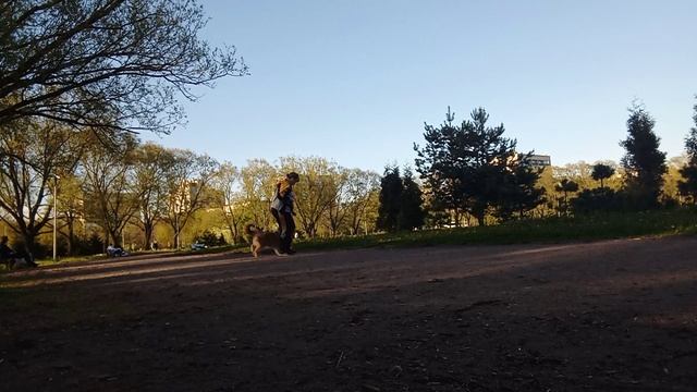 Вик, тренировка -1, 19.05.25