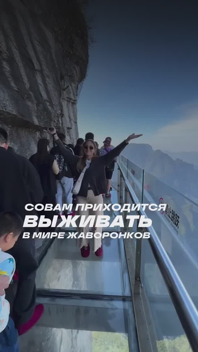 Как совам выжить в мире жаворонков или как избавиться от бессонницы?