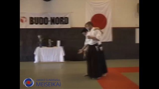 17 Aikido Shomen Uchi Iriminage Shishiya Sensei, Sundsvall 2002