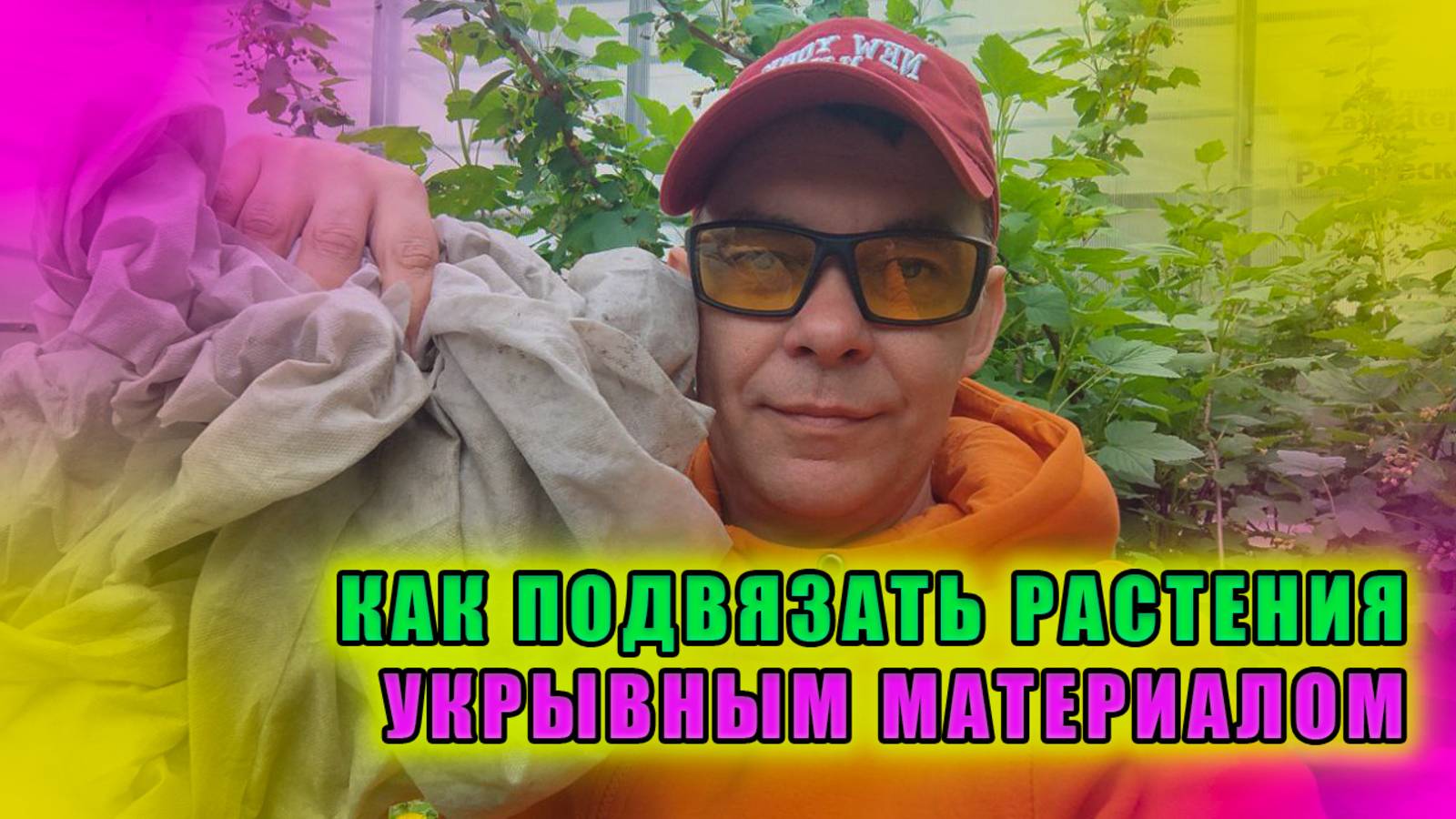 Лайфхак для садовода: как быстро подвязать Смородину с помощью укрывного материала 🤫