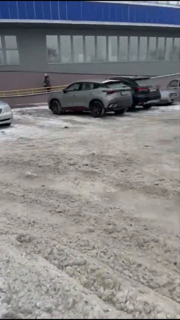 Эл.Дачник и Фермер убирают снег