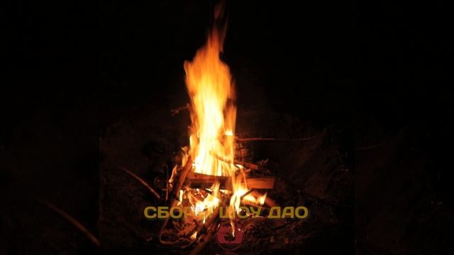 ЖИЗНЬ ДАОСА О мироощущении ШОУ ДАО (2)