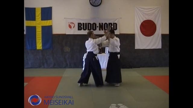 16 Aikido Shomen Uchi Gokyo Shishiya Sensei, Sundsvall 2002