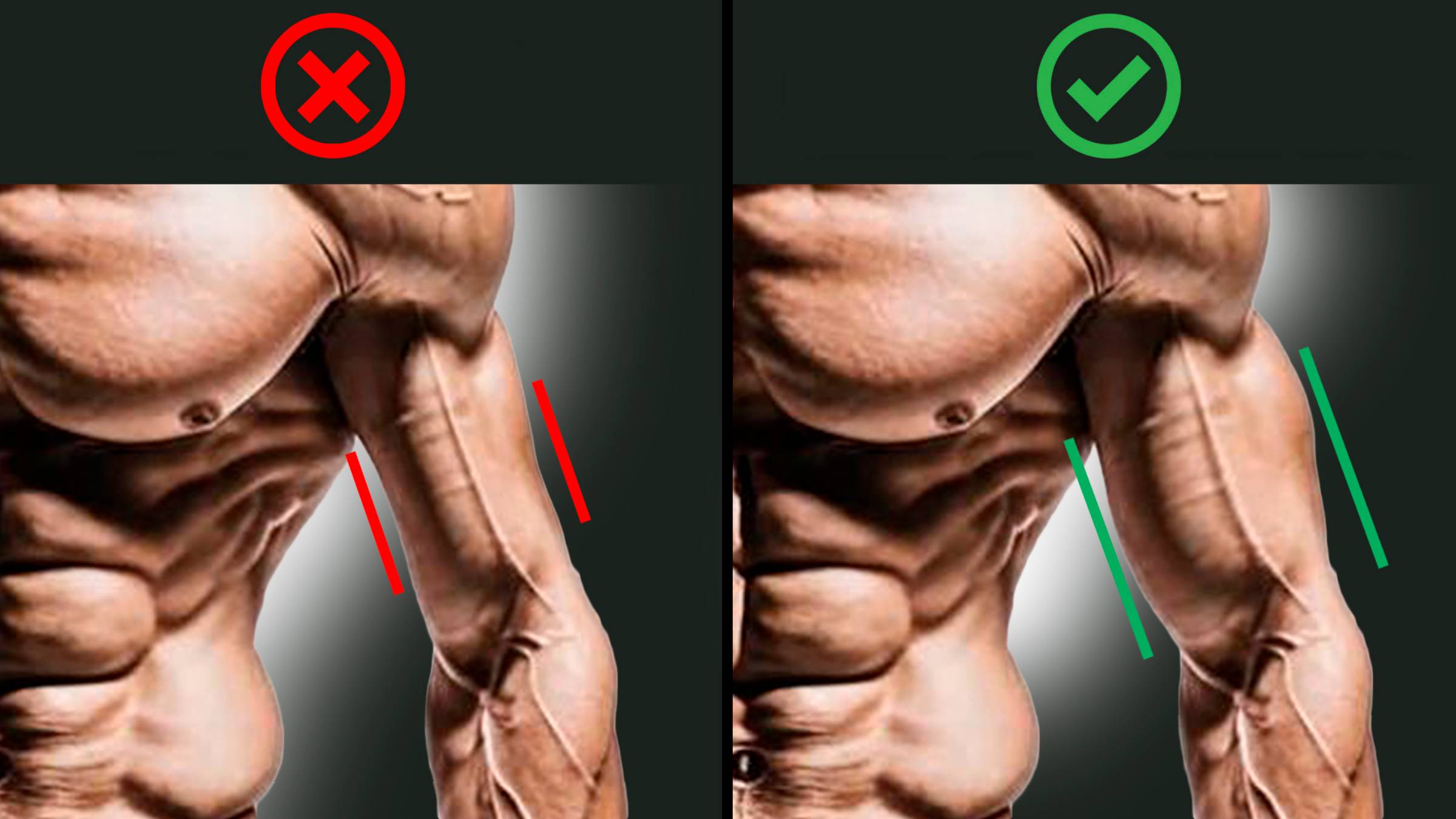 Как создать широкий бицепс: пошаговая инструкция