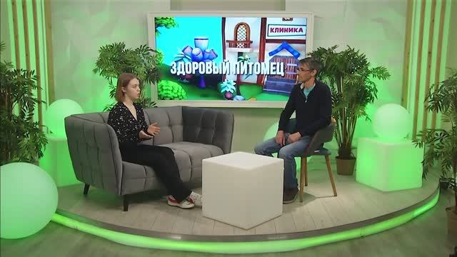 Здоровый питомец, 19.05.2025