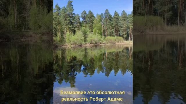 Безмолвие это обсолютная реальность Роберт Адамс