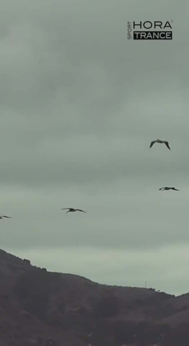 HORA® TRANCE SPORT — уверенность вне сомнений