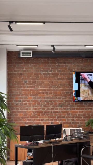 Оконная выставка в центре СПб!