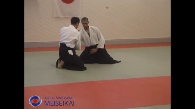 9 Aikido Ai Hanmi Iriminage Omote Shishiya Sensei Sandviken 2003