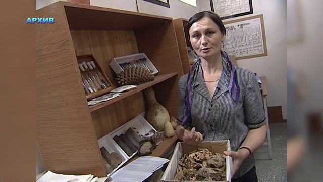 Живая природа (Лишайники)